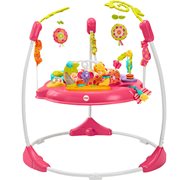 Fisher-Price Astro Kitty SpaceSaver Jumperoo