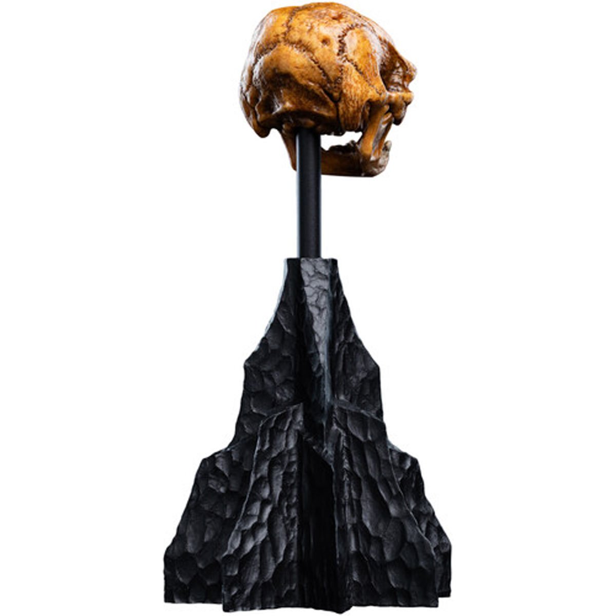 The Hobbit Trilogy Skull of a Misty Mountain Goblin Miniature Polystone ...