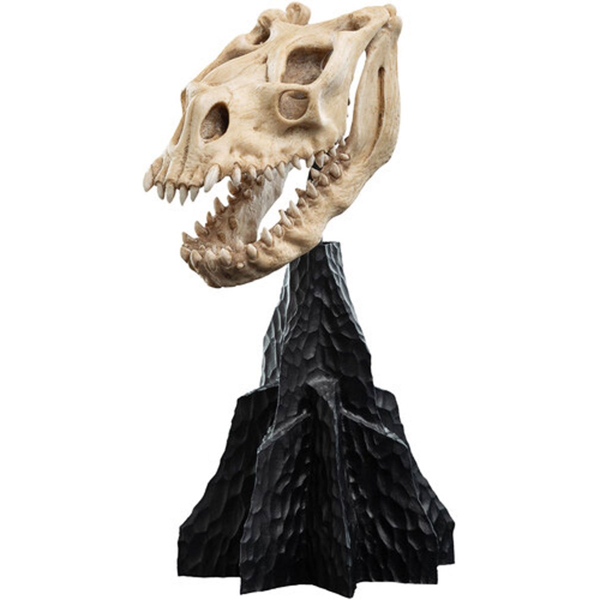 The Lord of the Rings Skull of a Fell Beast Polystone Statue