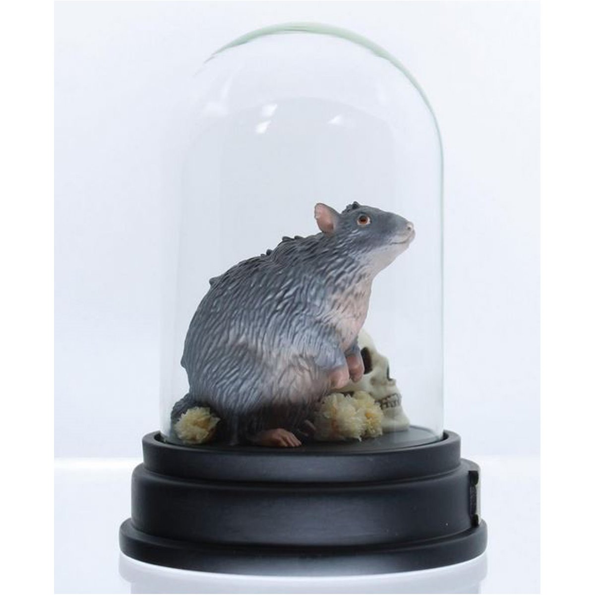 Wizarding World of Harry Potter Scabbers Curiosity Cloche Statue