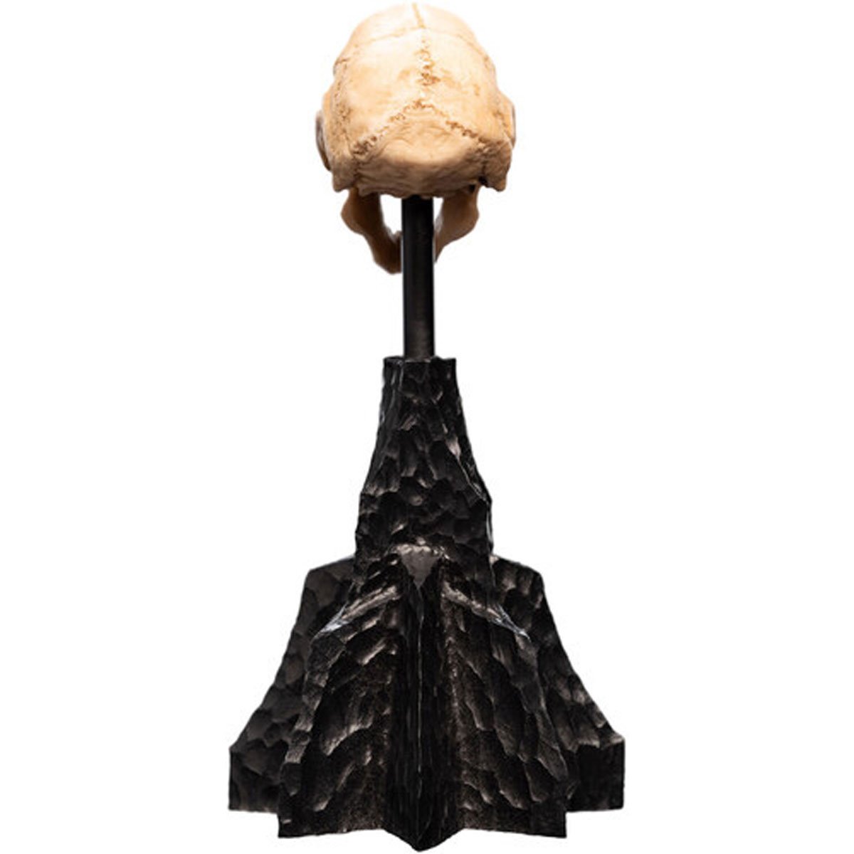 The Lord of the Rings Skull of a Moria Orc Polystone Statue